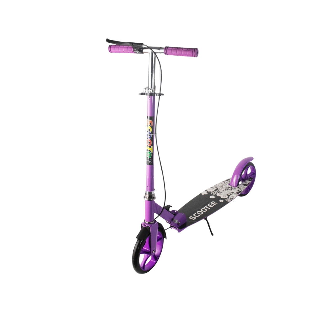2 wheel fancy scooter – Auldon Toys